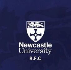 Movember - Leaderboards